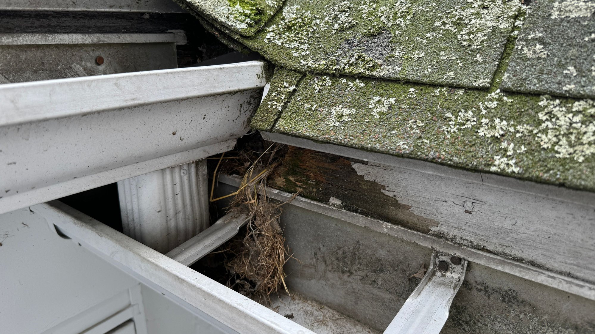 5 1/2" gutters? and the right facia material - DoItYourself.com Community Forums