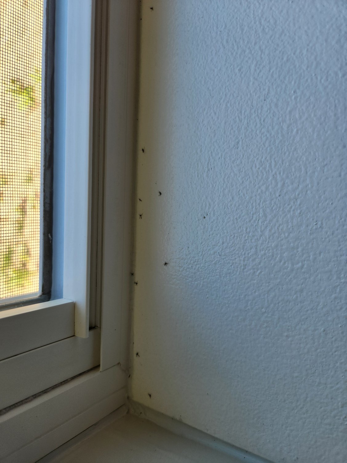 Poorly installed windows?? - DoItYourself.com Community Forums