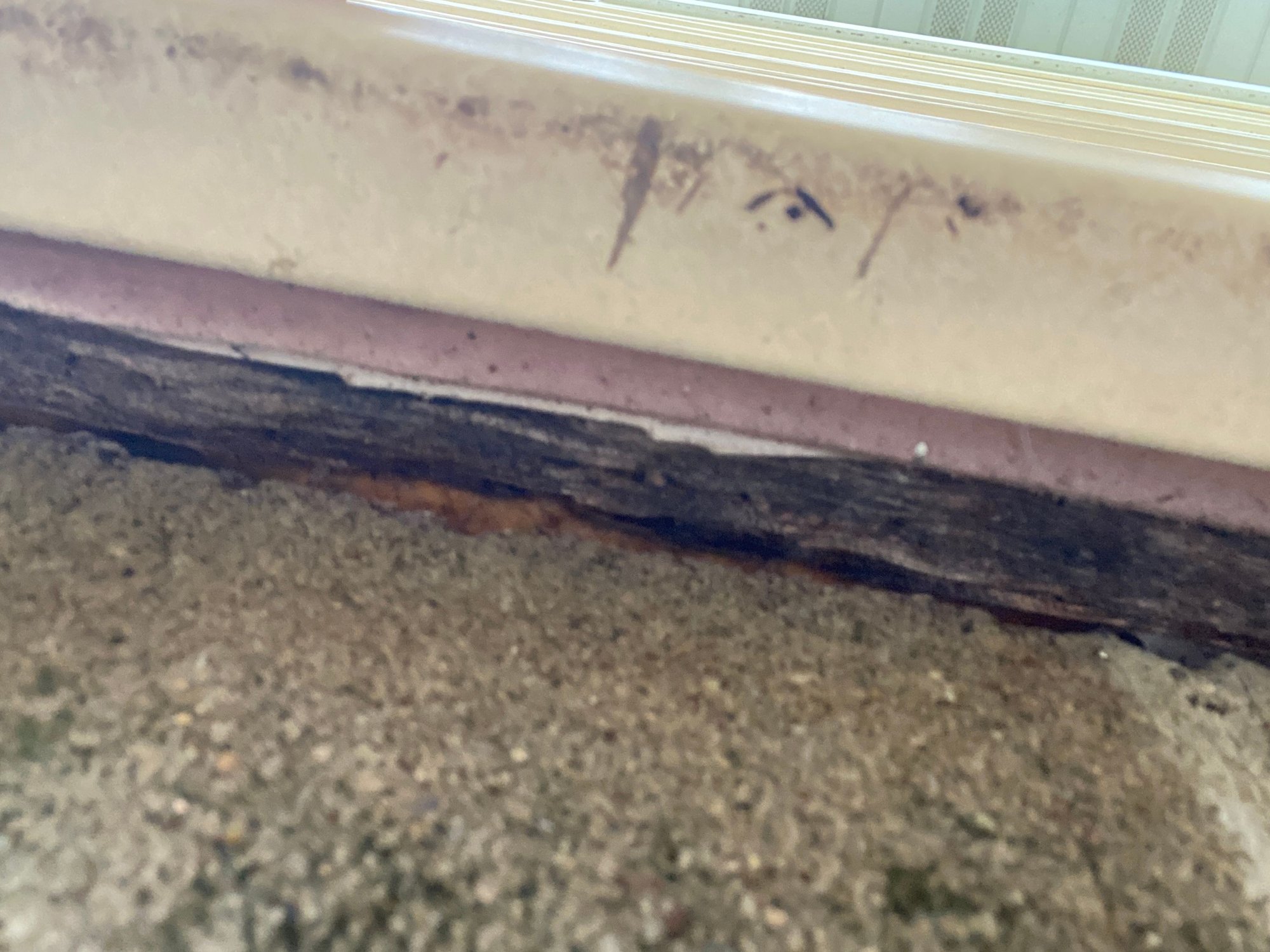 Wet Spot on Exterior Concrete After Rain – Cause for Concern ...