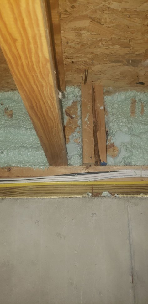 Squash block rot - DoItYourself.com Community Forums