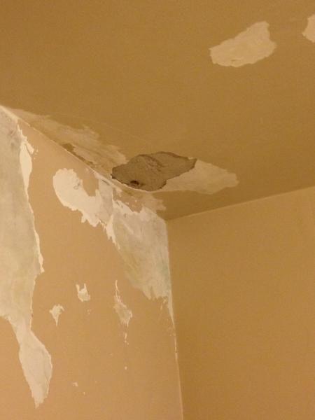 ceiling repair/is this rock lath with lime plaster? water damage ...
