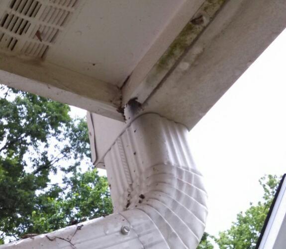 Small area of wood rot under gutter. Advice? - DoItYourself.com ...