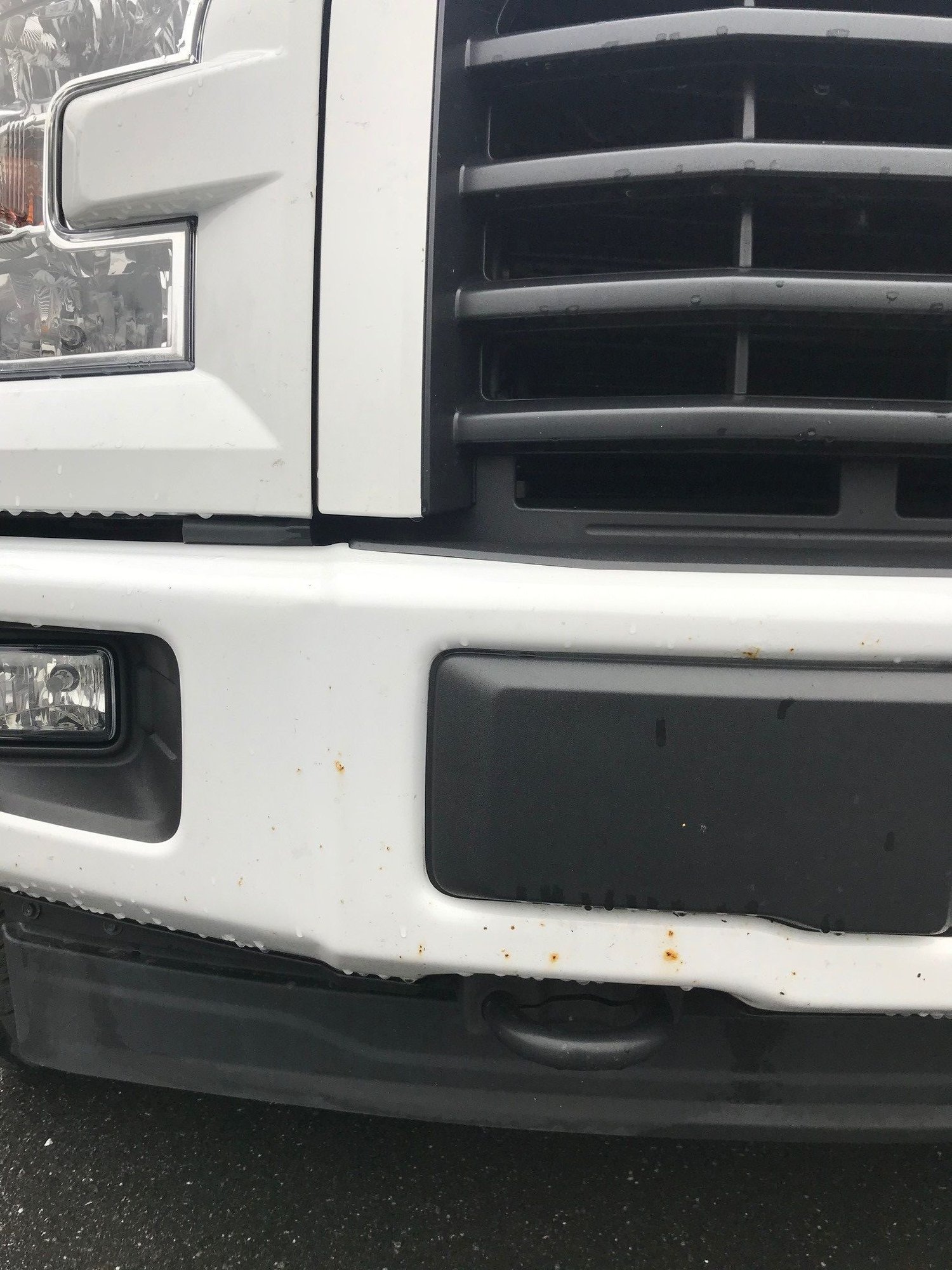2017 XLT Sport Painted Bumper RUST - Ford F150 Forum - Community of ...