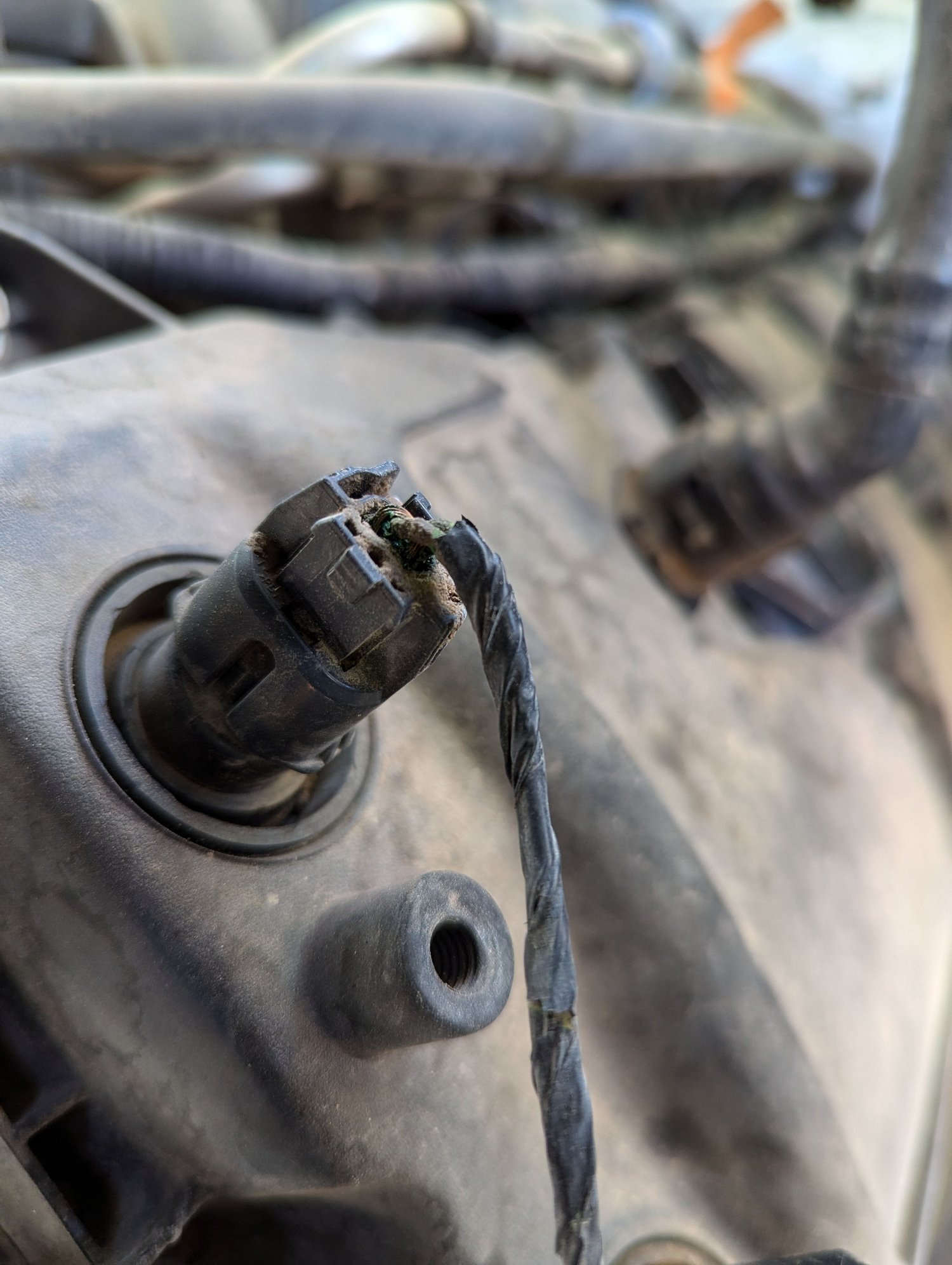 Repair VVT Wiring pigtail 2015 F150 5.0 - Ford F150 Forum - Community ...