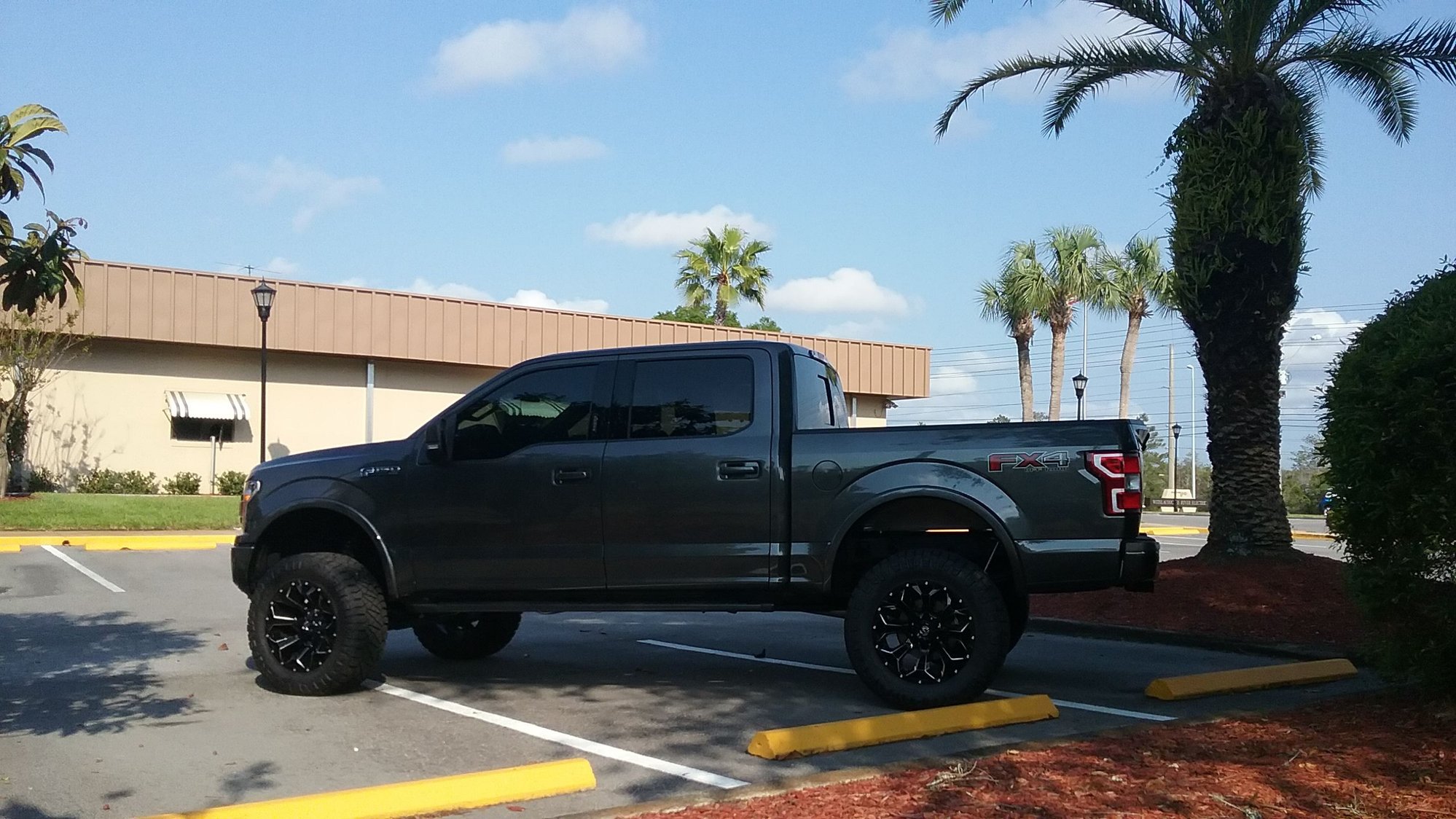 Let's see those Magnetic F-150's! - Page 234 - Ford F150 Forum ...