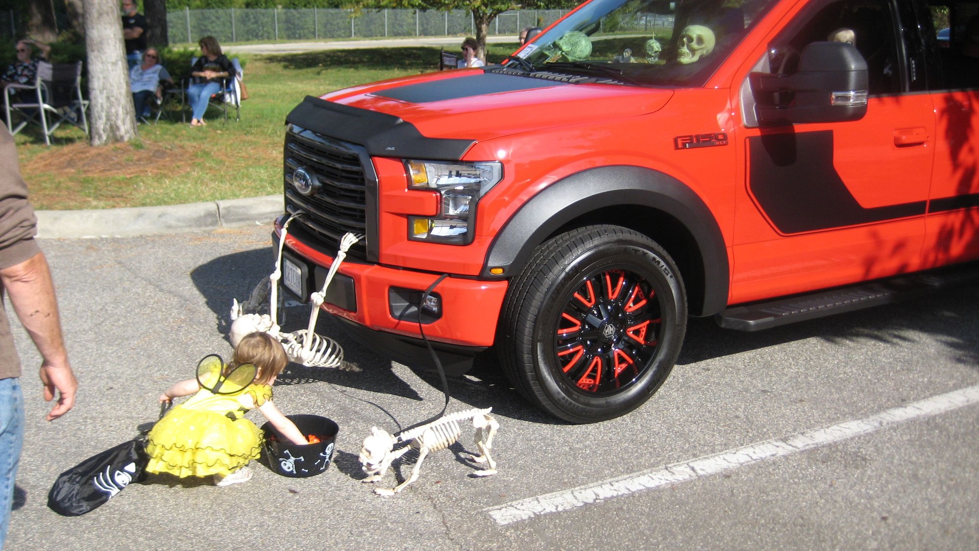 (1) What did you and your truck do today? - Page 1897 - Ford F150 Forum ...