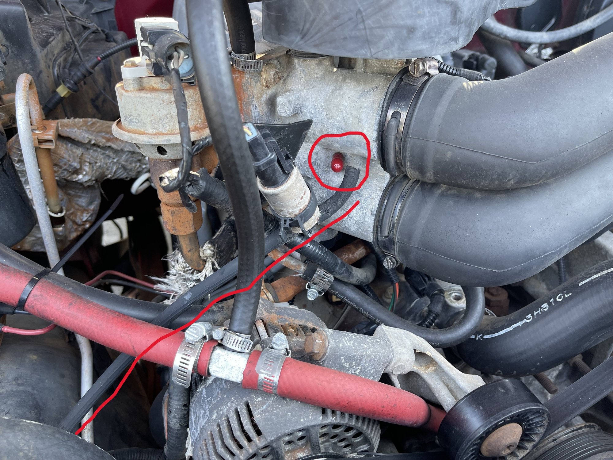 Help ID plug on throttle body - 1994 5.0 V8 - Ford F150 Forum ...