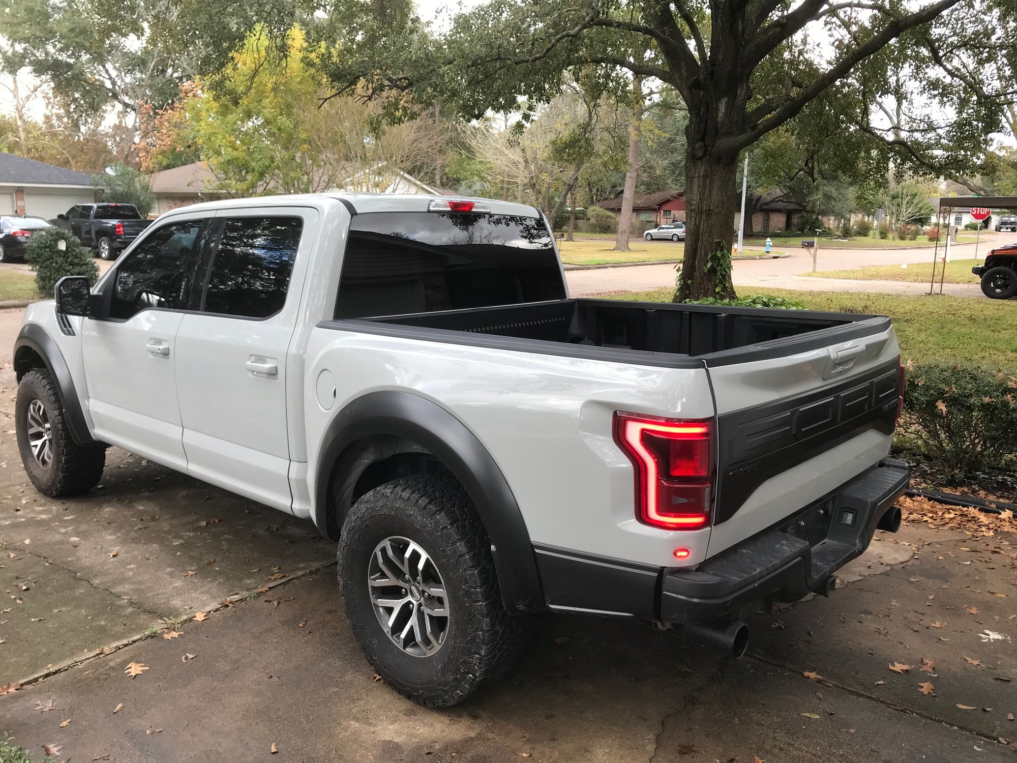 2016 F-150 raptor conversion - Page 15 - Ford F150 Forum - Community of ...