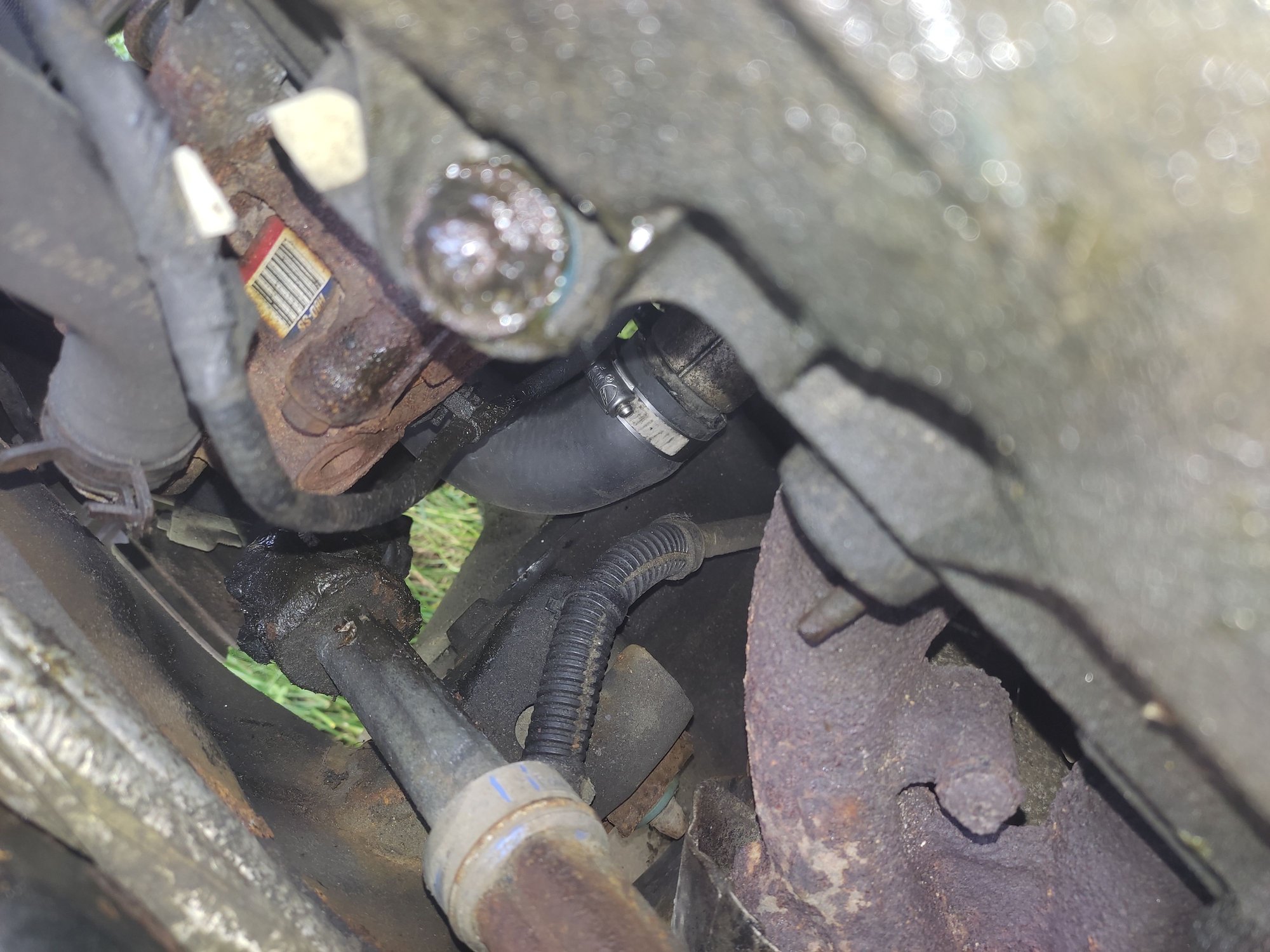 Lower radiator hose removal 5.4 2010 - Ford F150 Forum - Community of ...