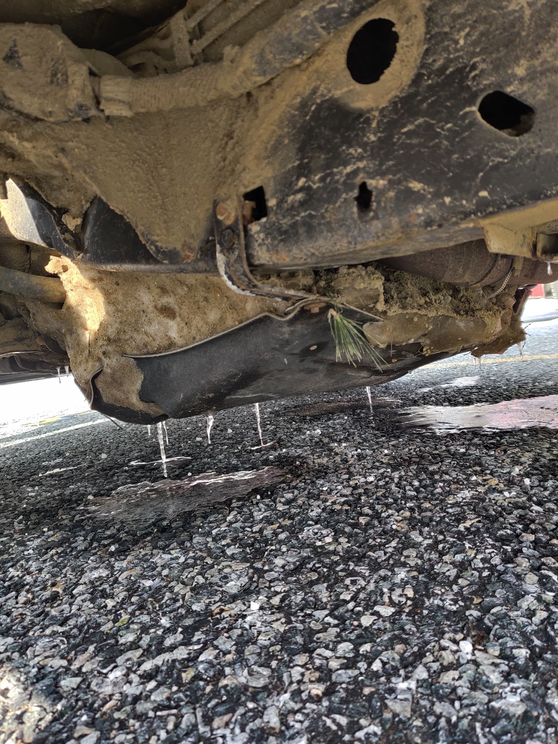 Ripped Skid Plate / Splash Guard / Fibersorb - 2019 Ecoboost - Page 6 ...