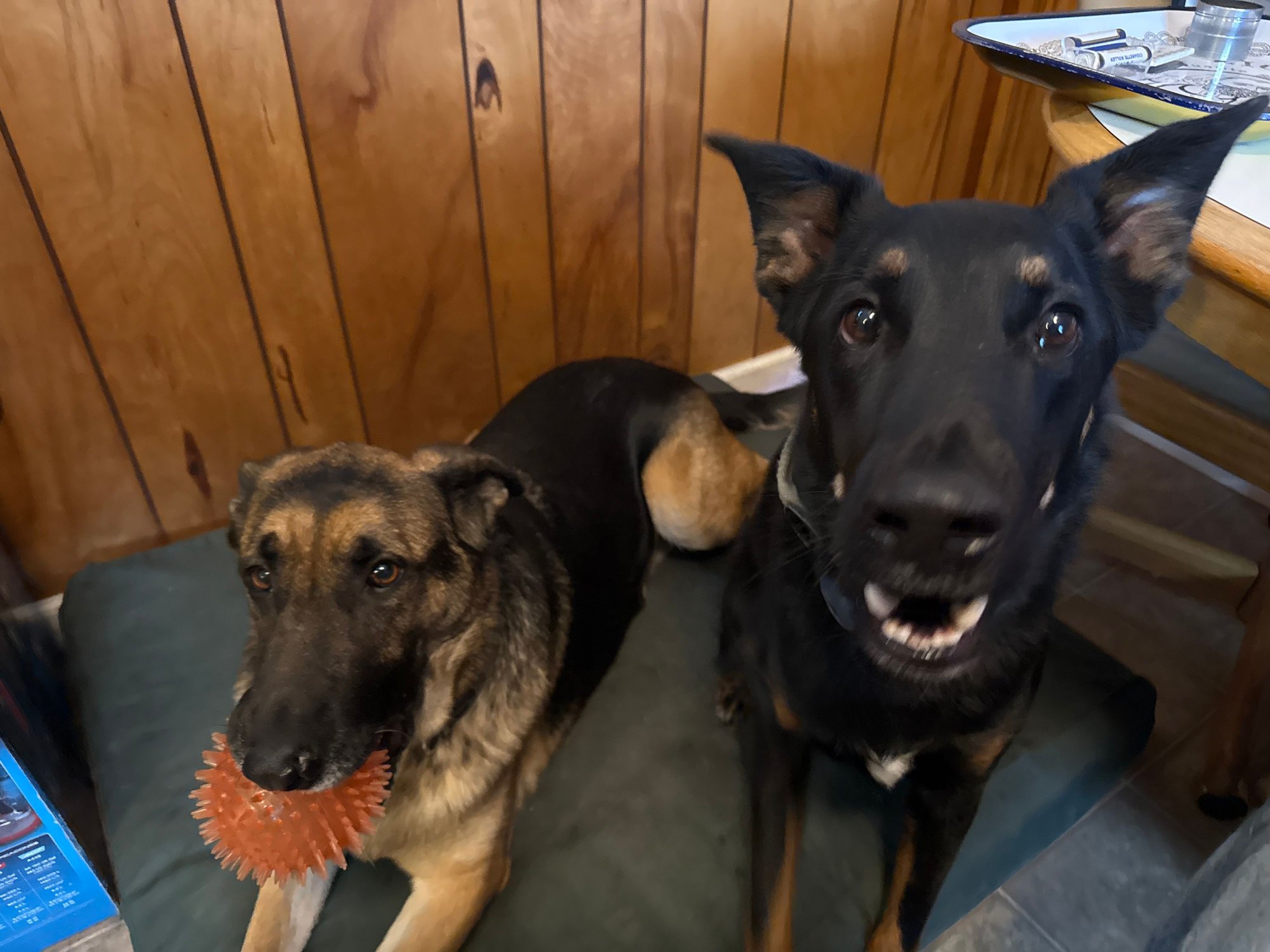 What in the world did you do with your truck today III - Page 395 ...