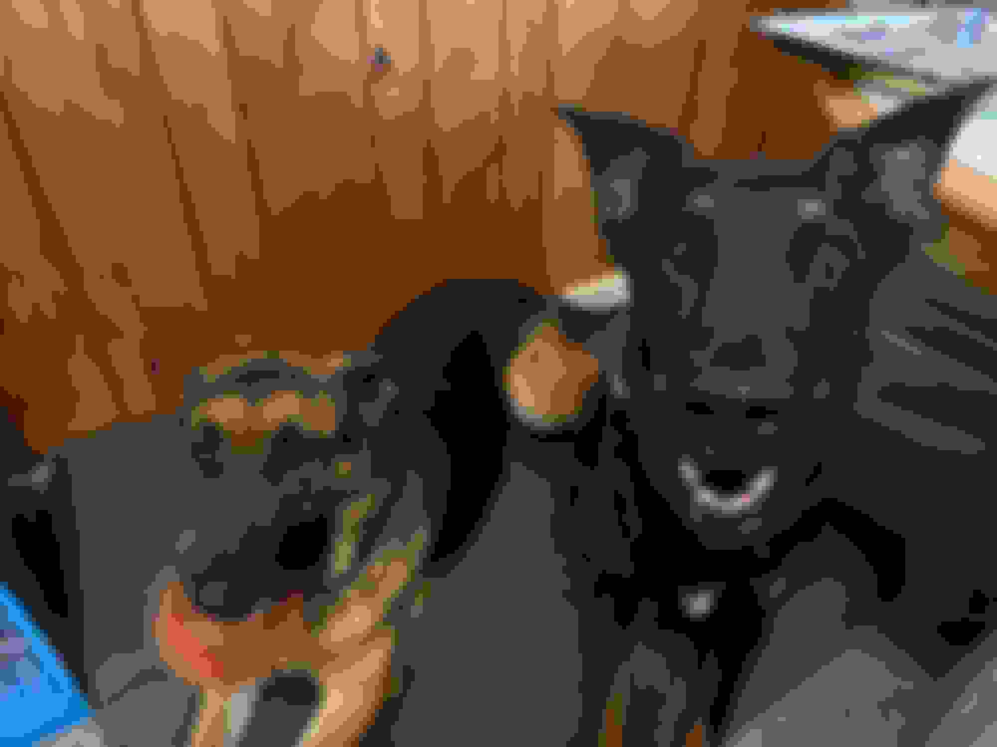 What in the world did you do with your truck today III - Page 395 ...