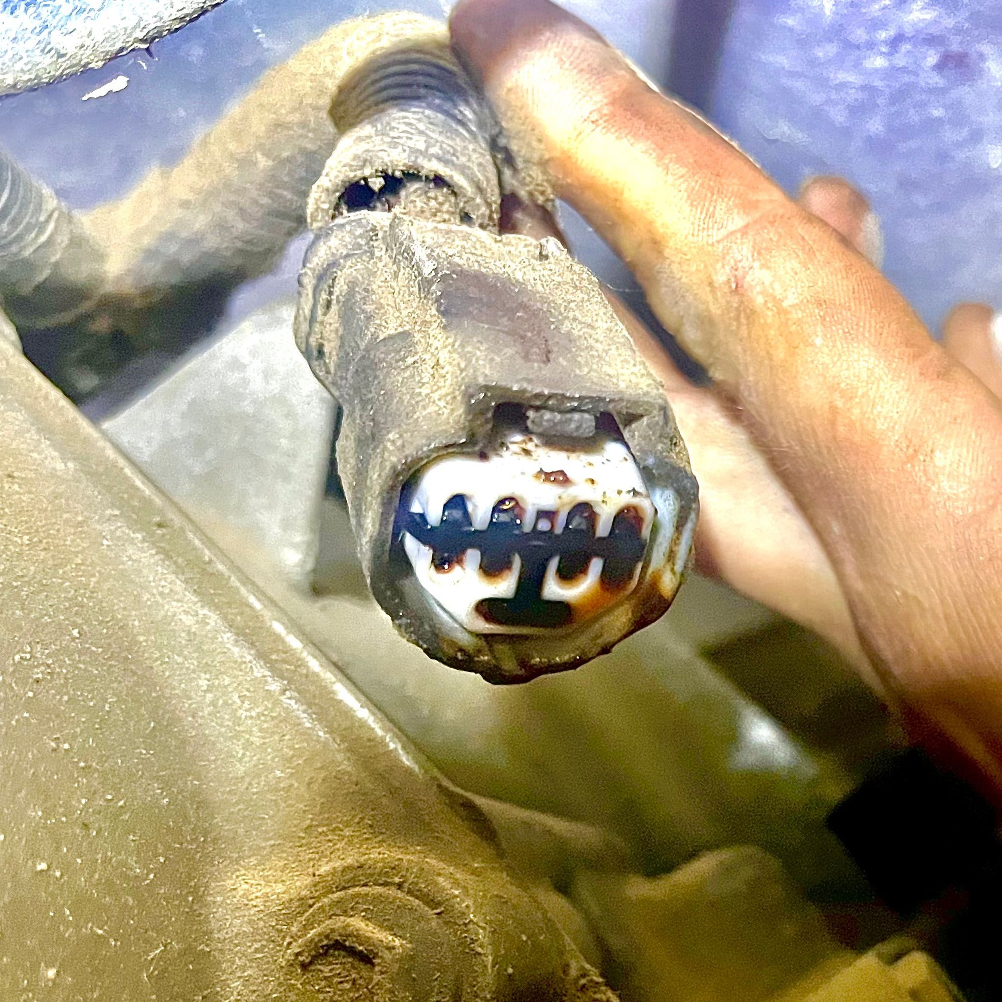 98 4.6l idles fine indefinitely, immediately dies when put in gear ...