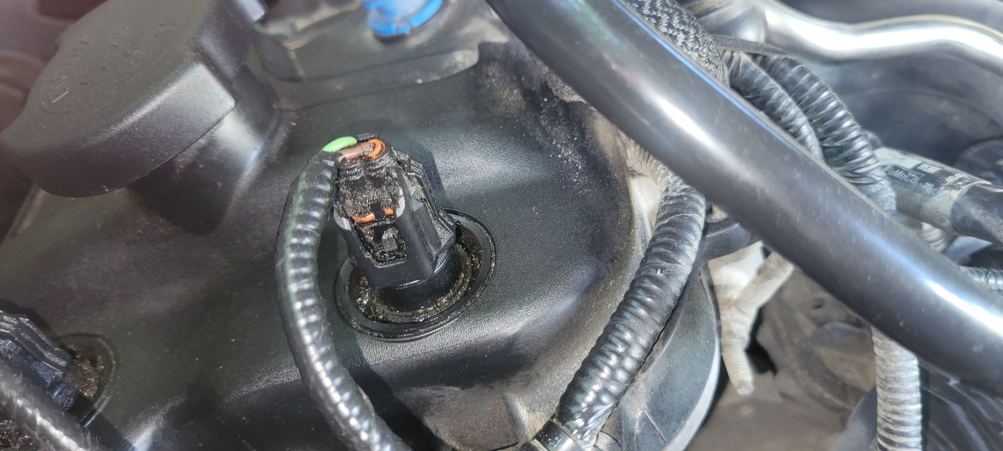 2014 5.0 VCT Solenoid Leak - Ford F150 Forum - Community of Ford Truck Fans
