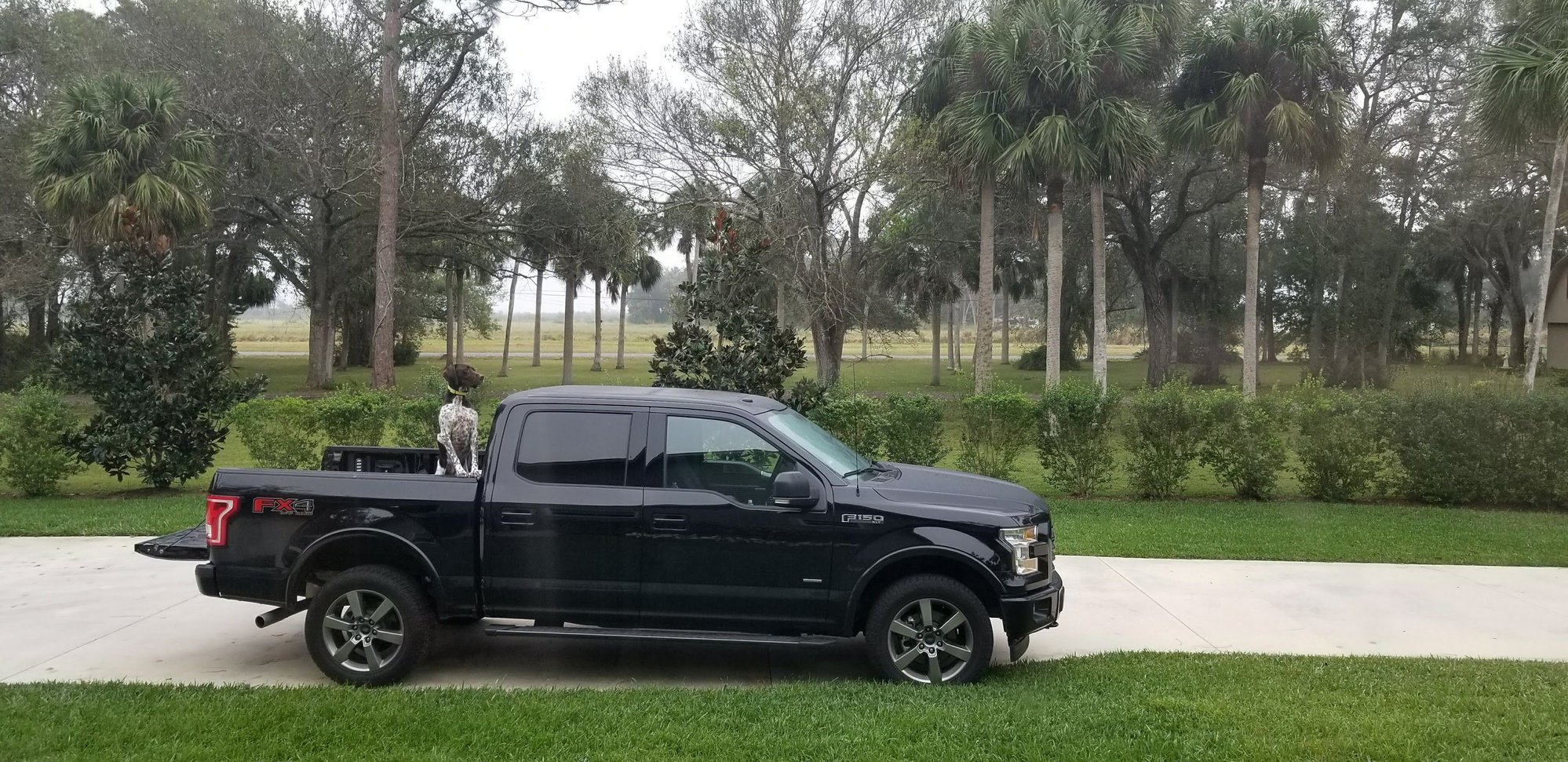 UCF-150's 2017 XLT Build - Ford F150 Forum - Community of Ford Truck Fans