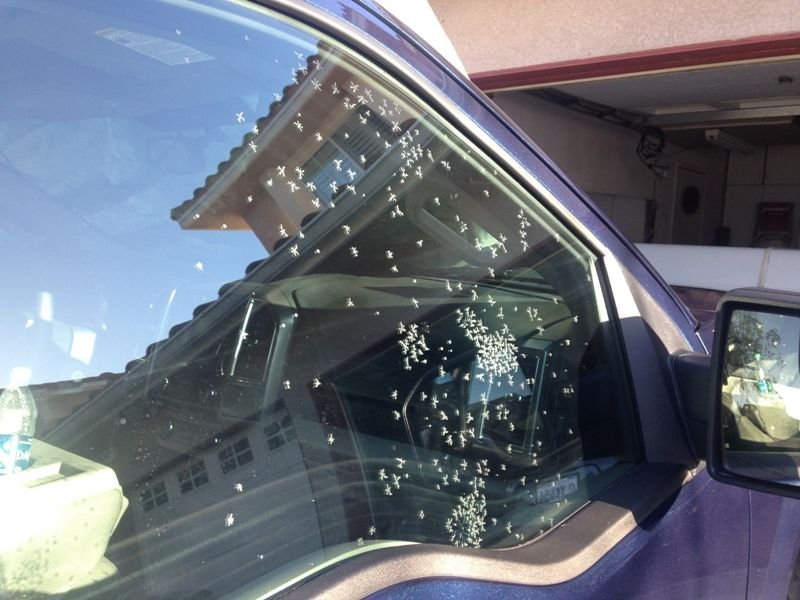 Window Defect - Ford F150 Forum - Community of Ford Truck Fans