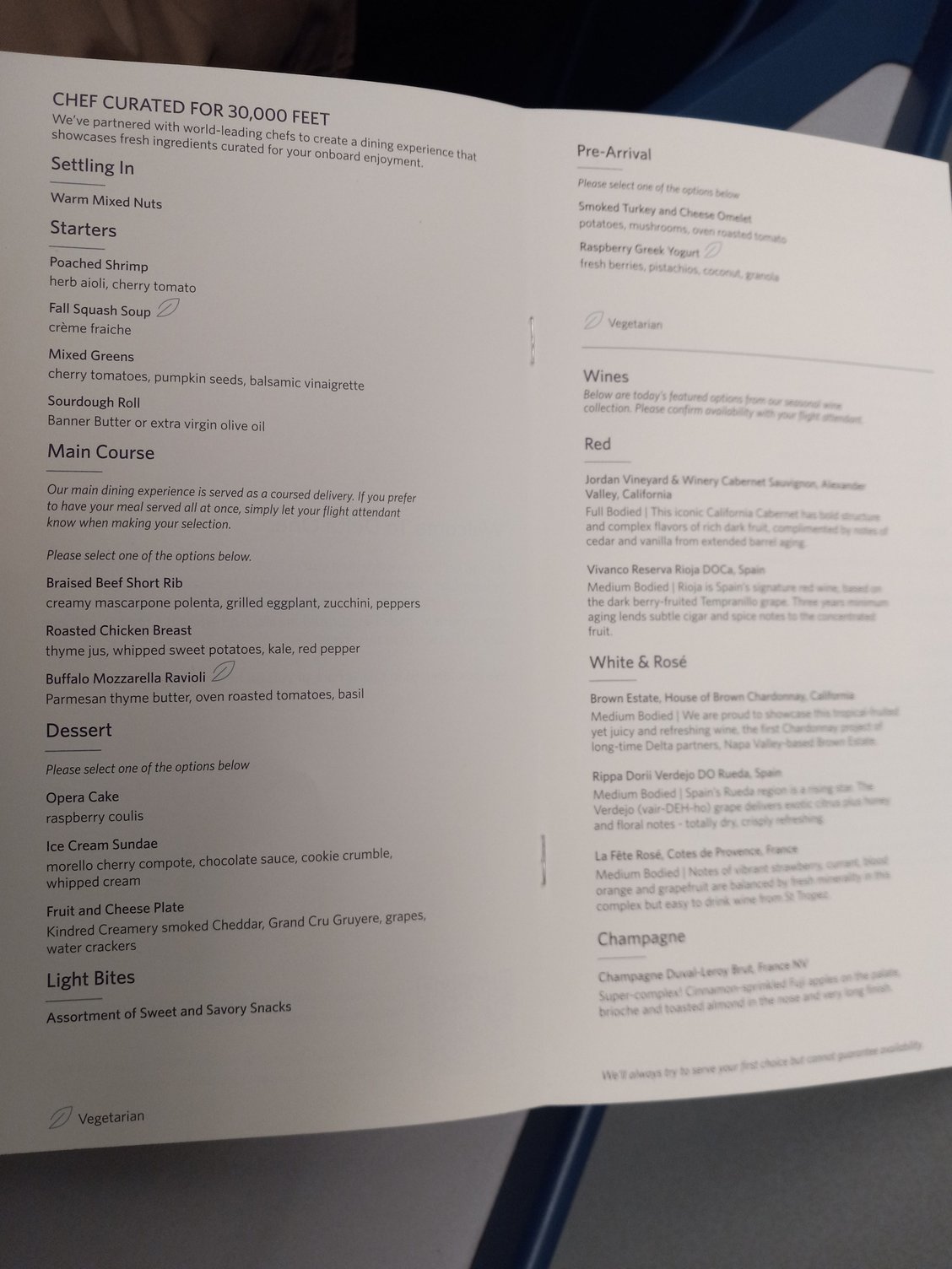 Delta In-Flight Meal/Food Service: The Definitive Thread — 2023 Edition ...