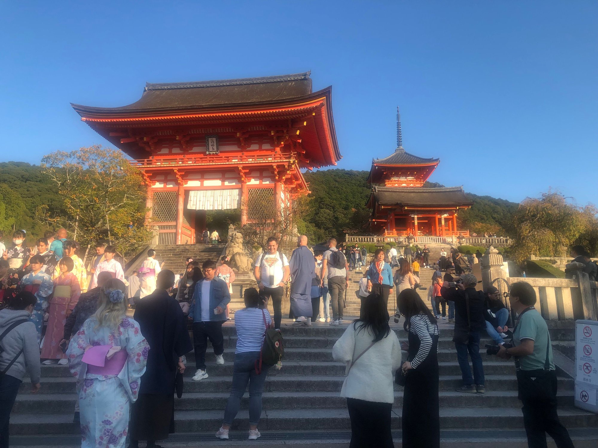 Park Hyatt Kyoto REVIEW - MASTER THREAD - Page 85 - FlyerTalk Forums