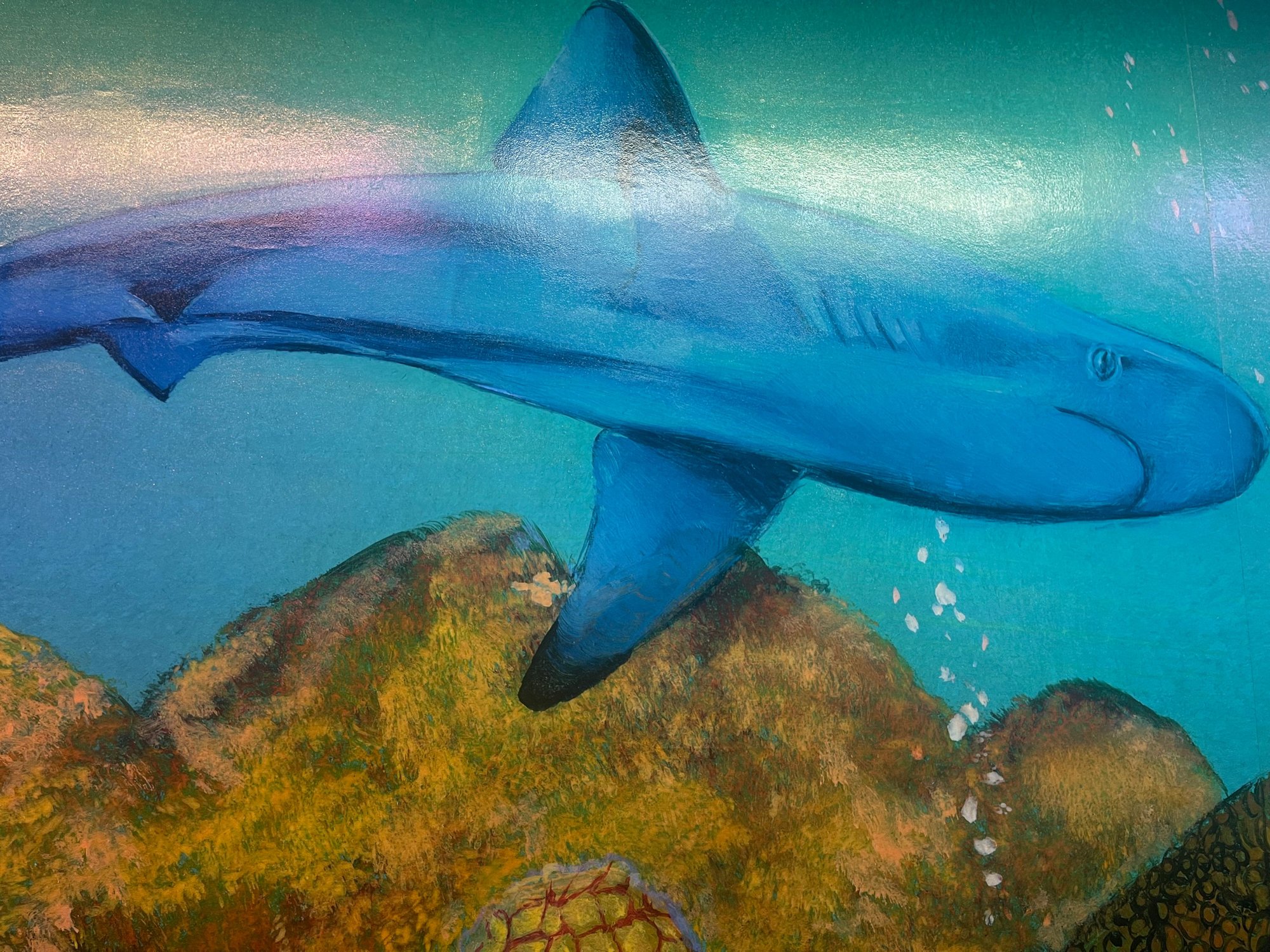 The UA Frequent Flyer Quiz Thread: Where Is This? [ARCHIVE] - Page 111 ...