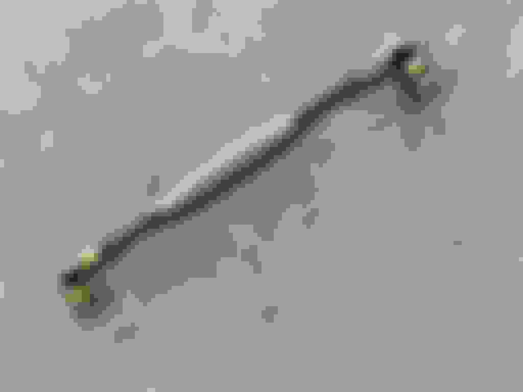 Re-building a wrecked F-150: bent frame - Page 43 - Ford Truck ...