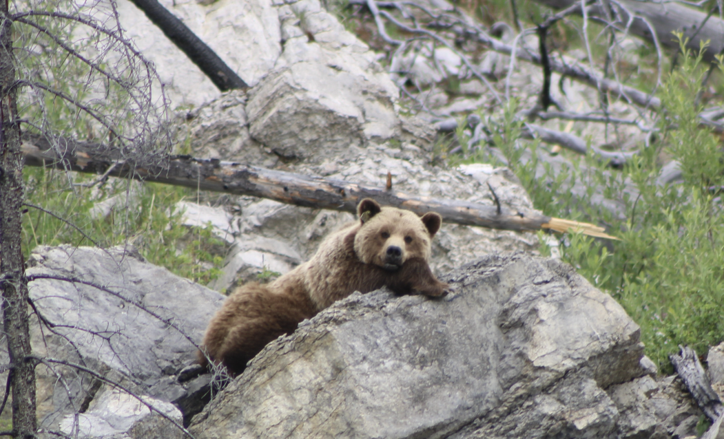 Pictures From Your Windshield - Page 53 - Ford Truck Enthusiasts Forums