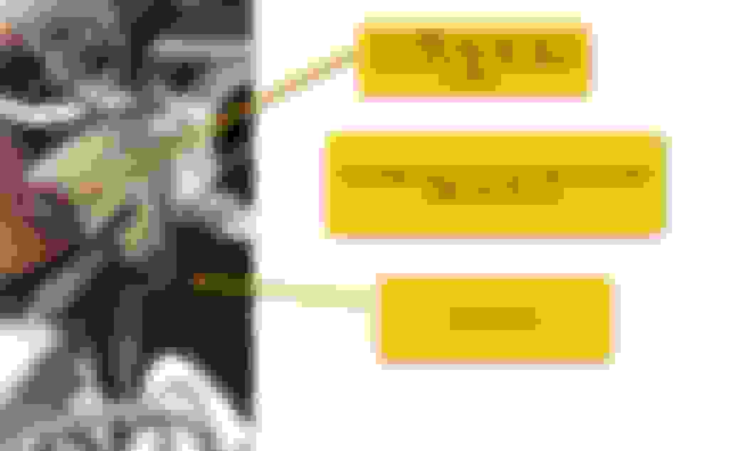 1997 F150 XLT Help with rABS - Page 2 - Ford Truck Enthusiasts Forums