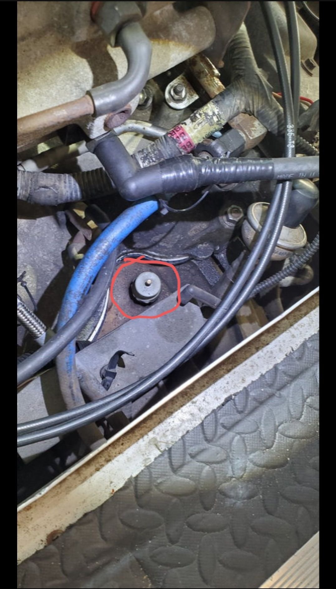 What is this sensor? - Ford Truck Enthusiasts Forums