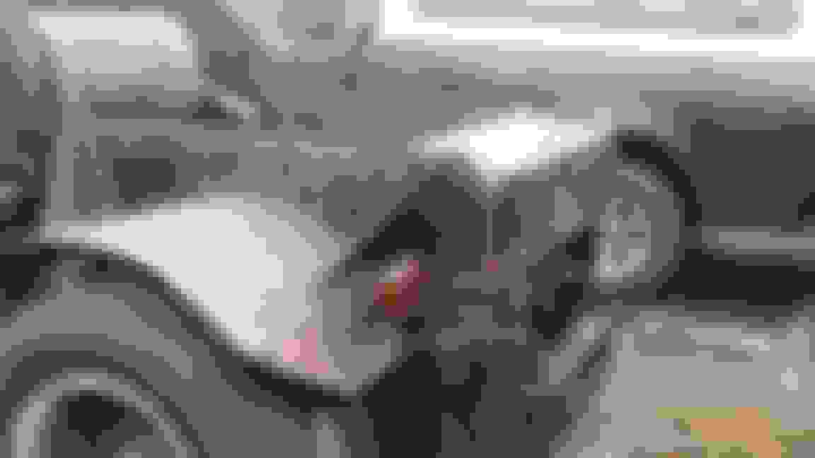 1965 Ford N500 - Ford Truck Enthusiasts Forums