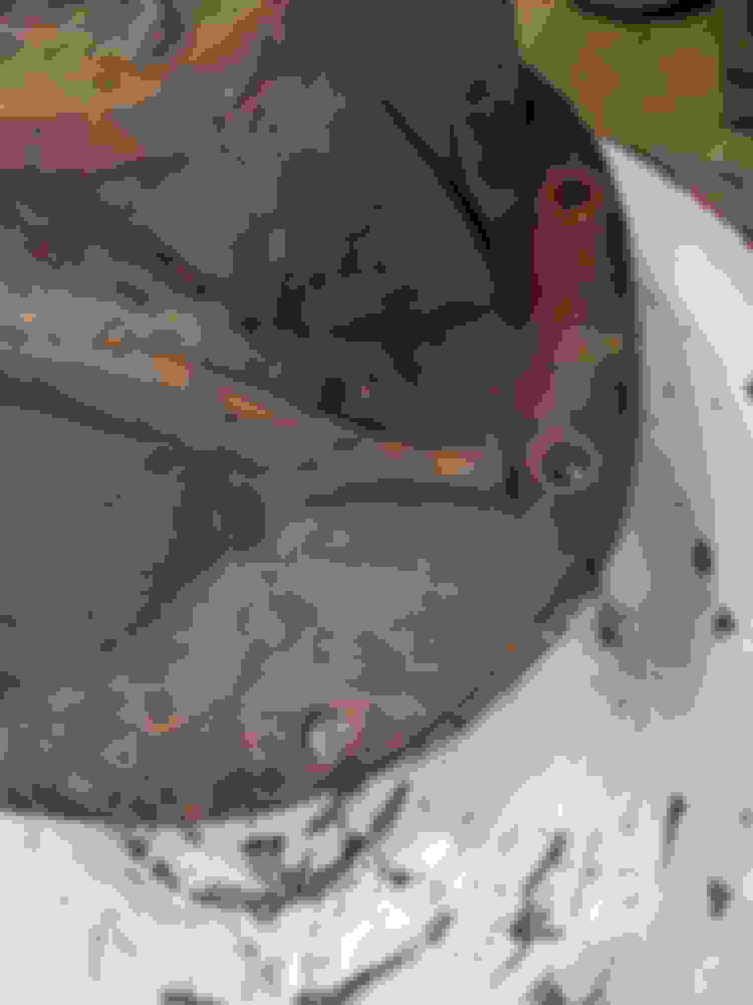 9" Identification - Ford Truck Enthusiasts Forums