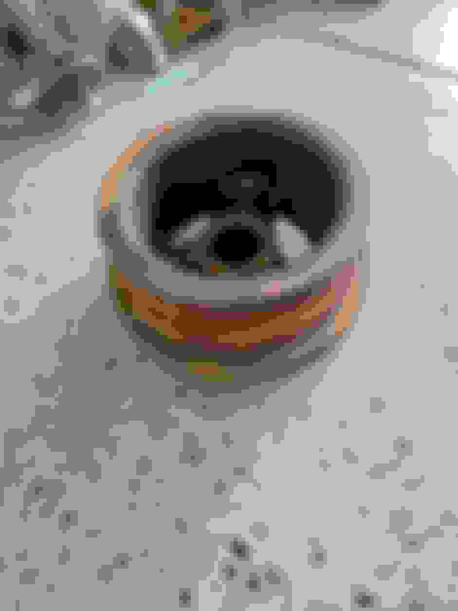 1952 F2 Resurrection - Page 4 - Ford Truck Enthusiasts Forums