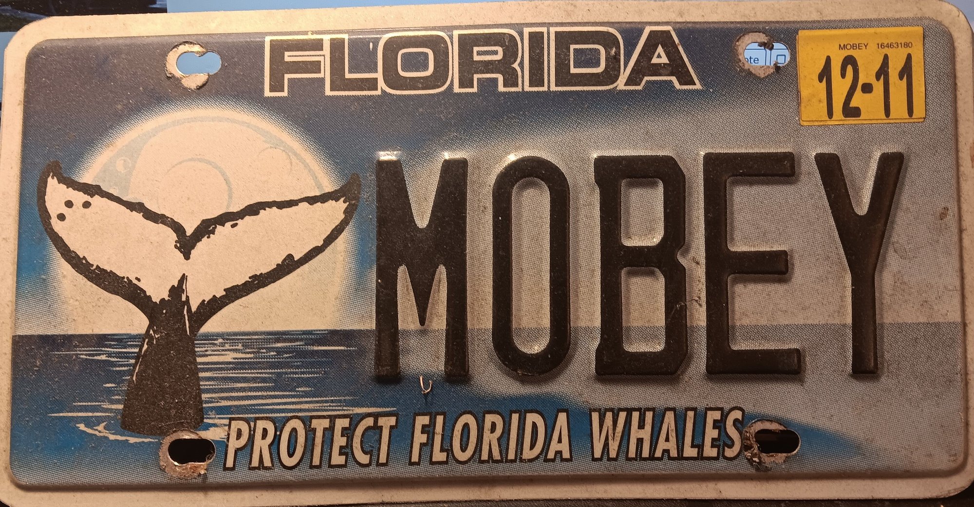 Vanity Plates - Lets See your Creativity and Sense of Humor - Ford ...