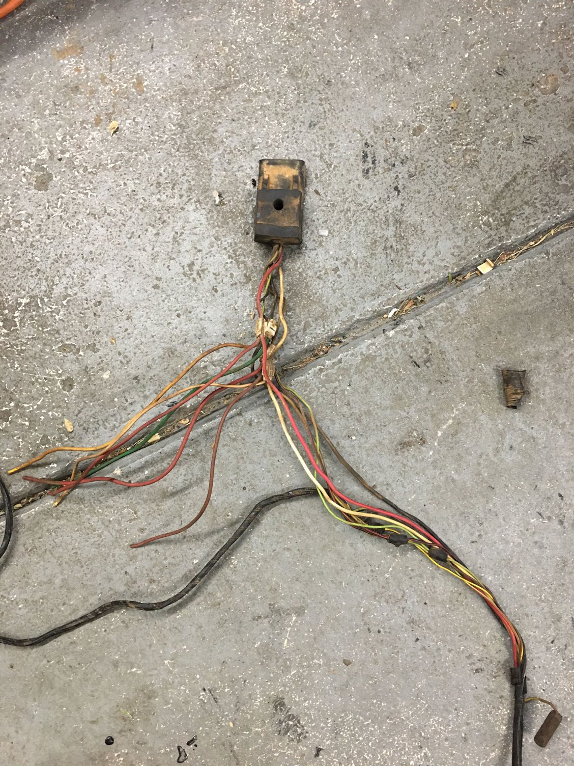 Odd connector in wiring harness - Ford Truck Enthusiasts Forums