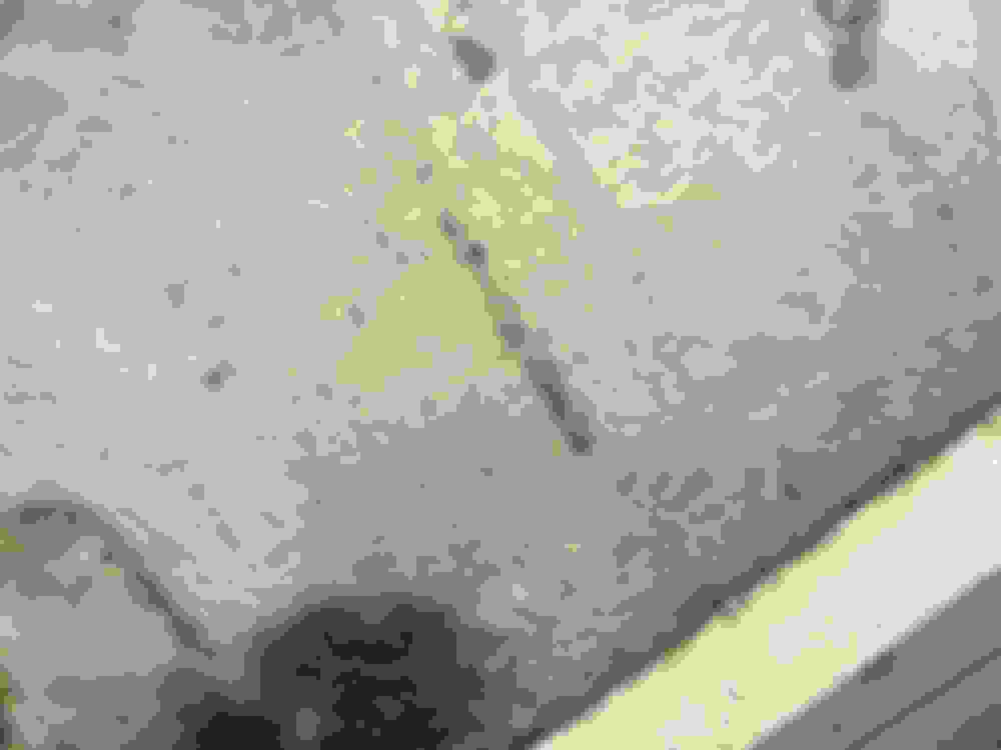 rust - Ford Truck Enthusiasts Forums