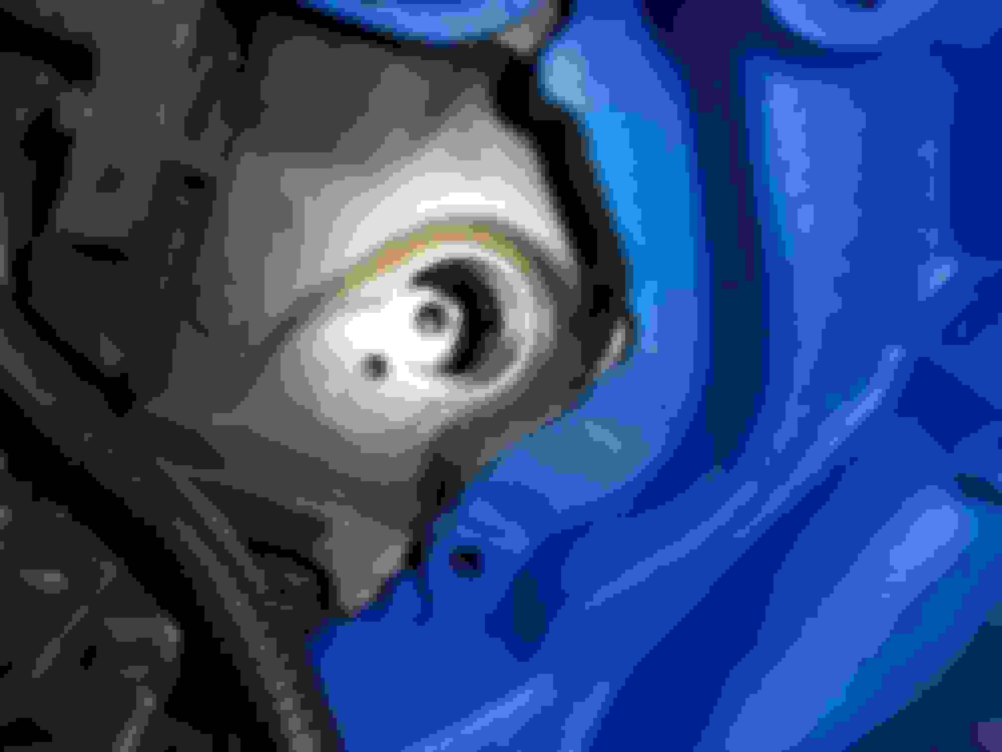 Distributor and oil pump shaft troubles - Ford Truck Enthusiasts Forums