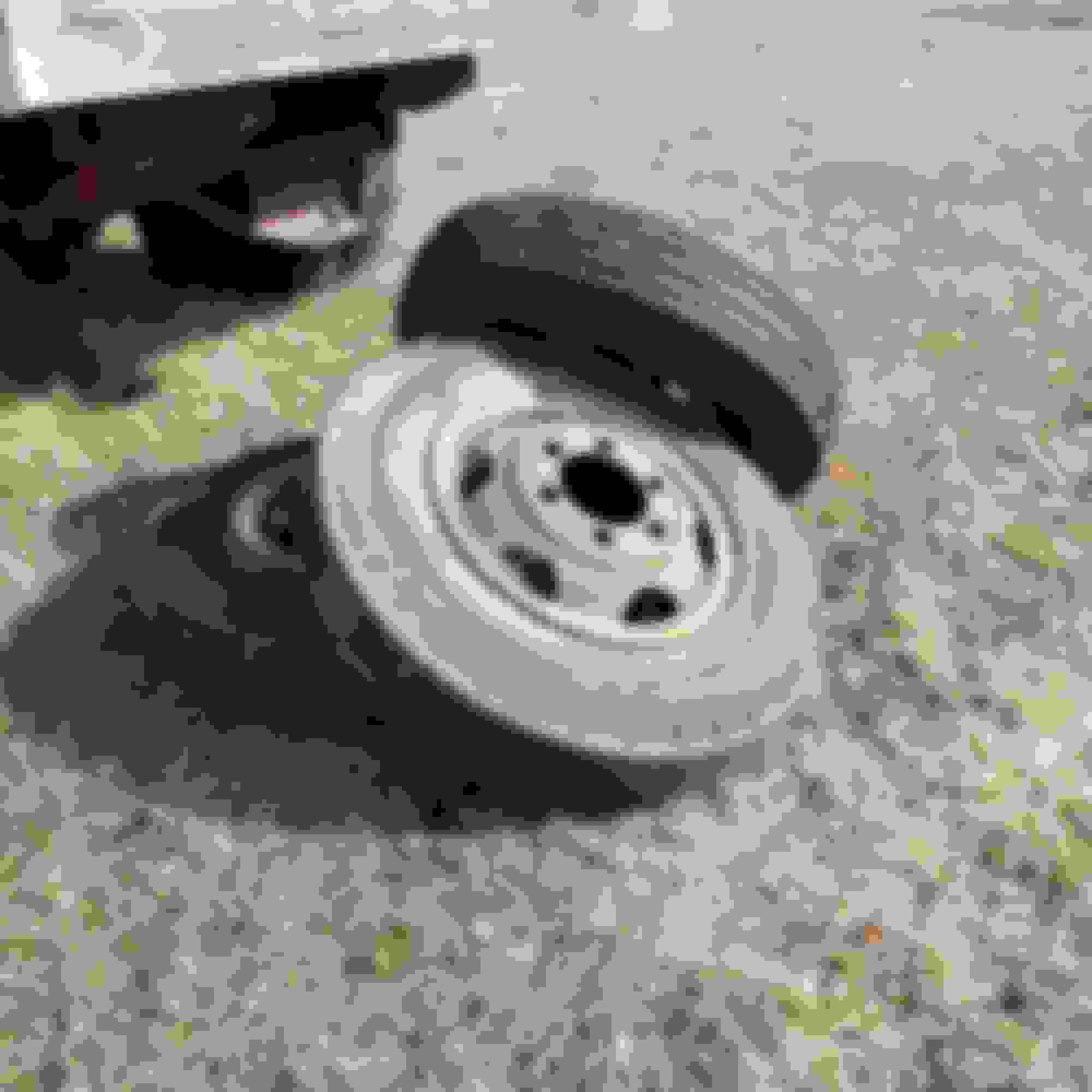 Widow maker rims - Page 2 - Ford Truck Enthusiasts Forums