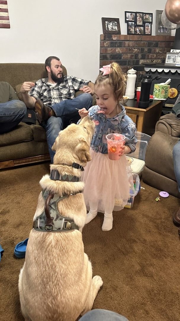 All things Dogs & Cats! - Page 446 - Ford Truck Enthusiasts Forums