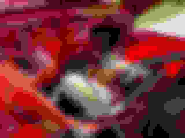 Y Block ID - see pics - Ford Truck Enthusiasts Forums