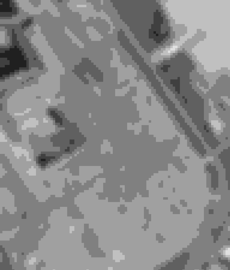 RAMP CODES for New Truck Deliveries - Page 5 - Ford Truck Enthusiasts ...