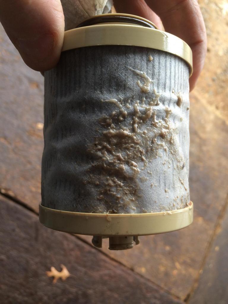 sludge on fuel filter - Ford Truck Enthusiasts Forums