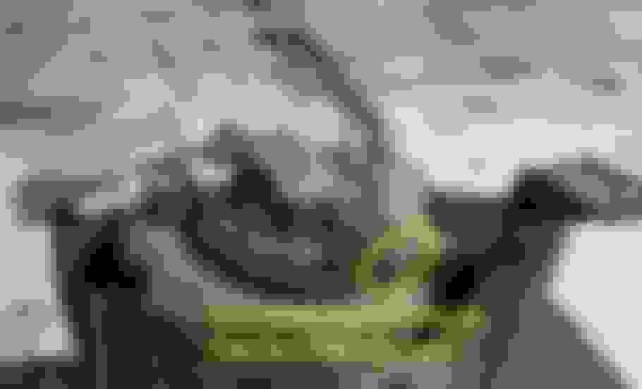 Reductant heater code P20BA - Ford Truck Enthusiasts Forums