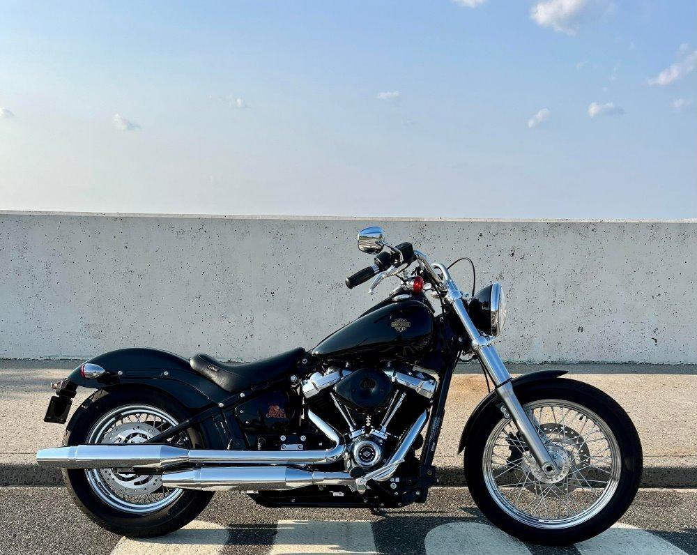 Cruising on the softail standard this weekend... - Harley Davidson Forums