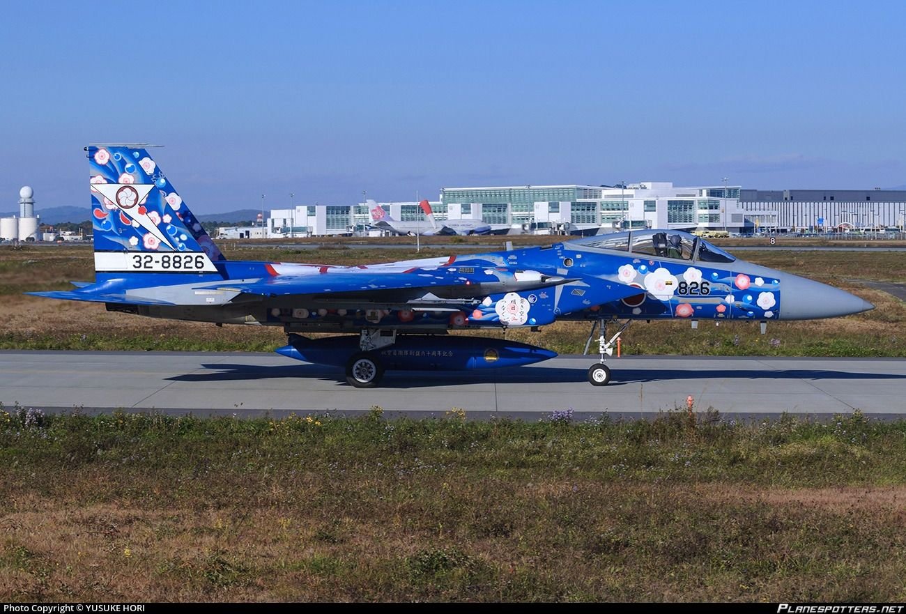 F-15 paint schemes - RCU Forums