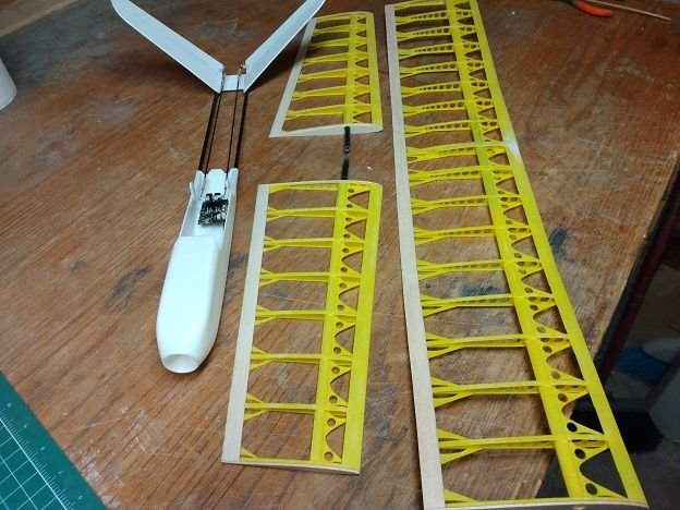 Sub-250 gram 50" WS Glider Open-Source STL files. - RCU Forums