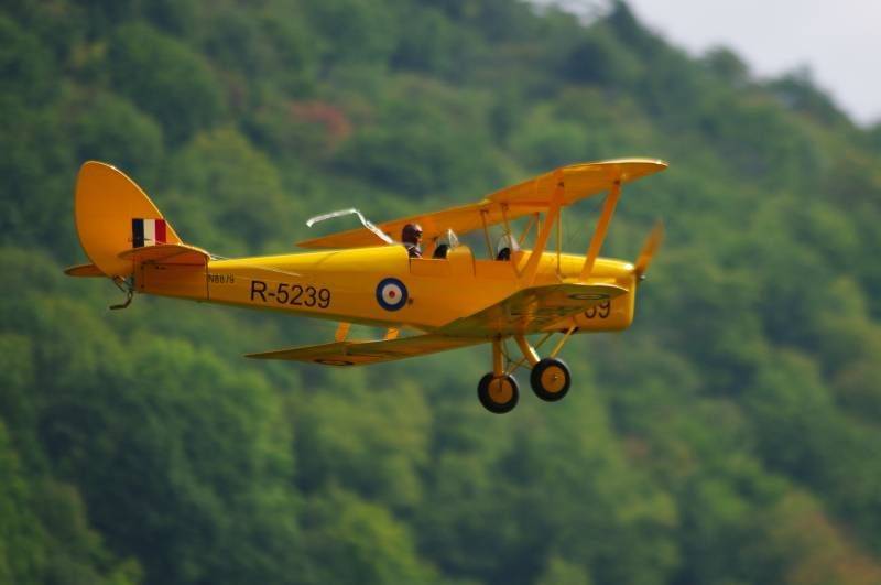 Arizona Models Tiger Moth - RCU Forums