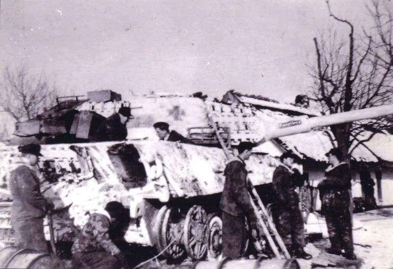 Tiger II Pre-Production (curved front) paint schemes Normandy? - RCU Forums