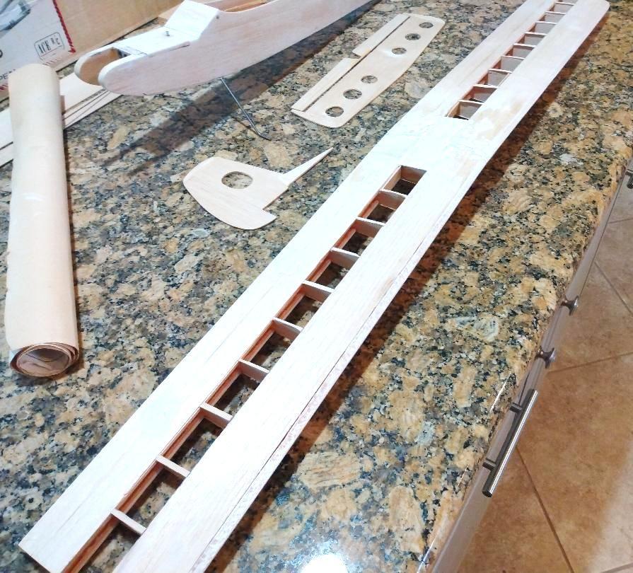 ACE RC Whizard 1/2A Model Airplane, Built Up Balsa Wing, ARC - RCU Forums