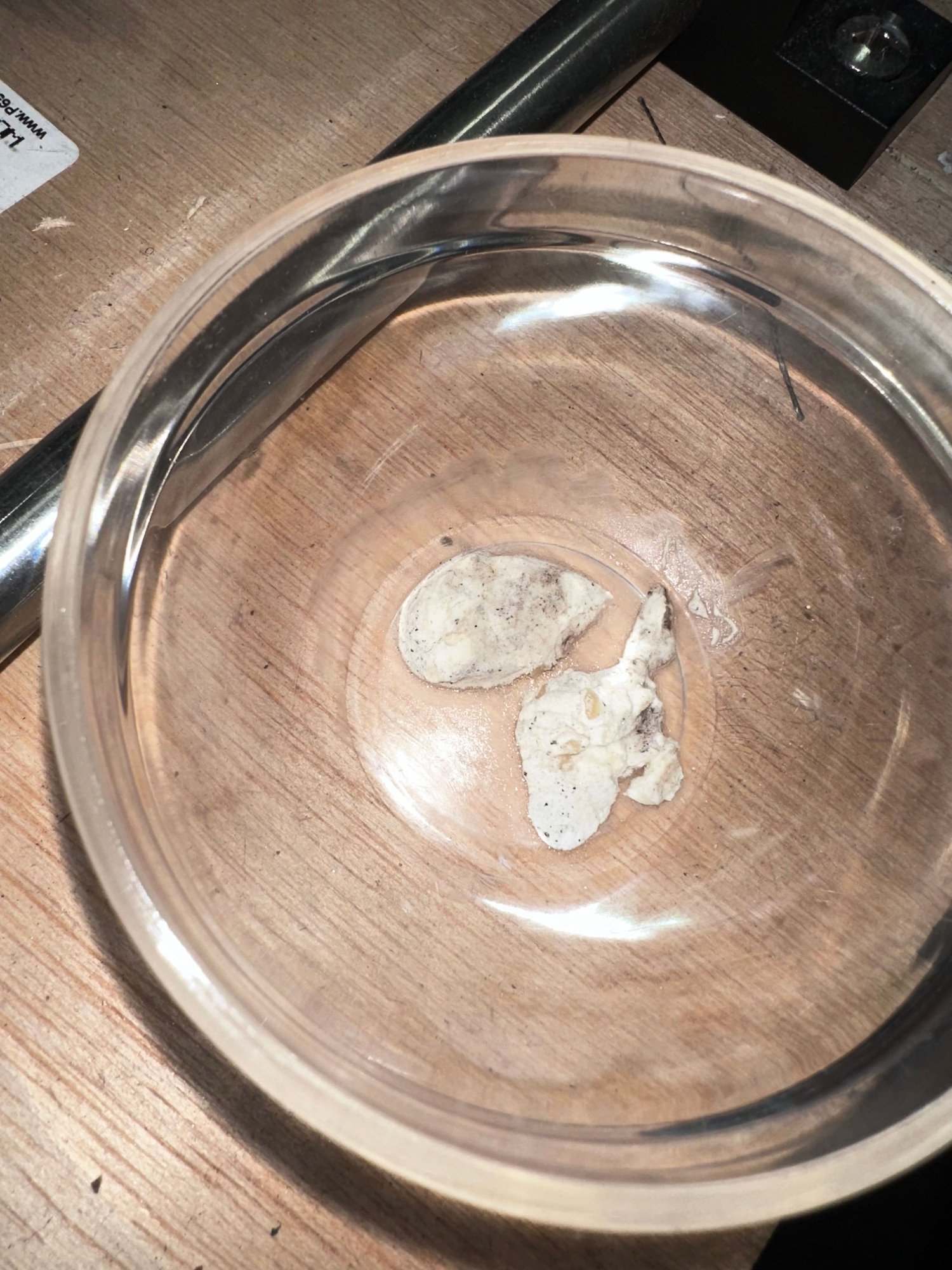 Crud in bottom of filter - The Hull Truth - Boating and Fishing Forum