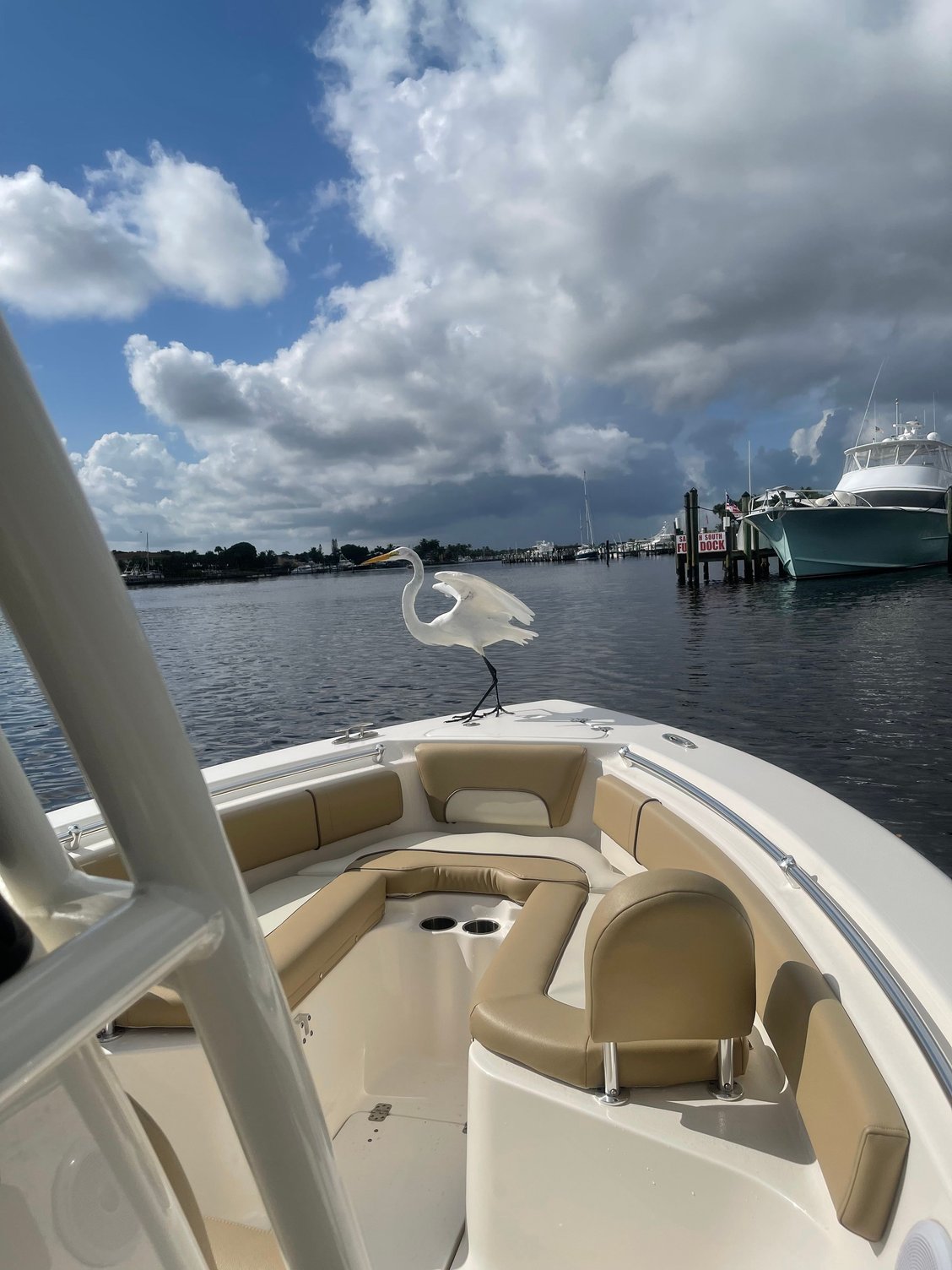 2019 Key west 239fs - The Hull Truth - Boating and Fishing Forum