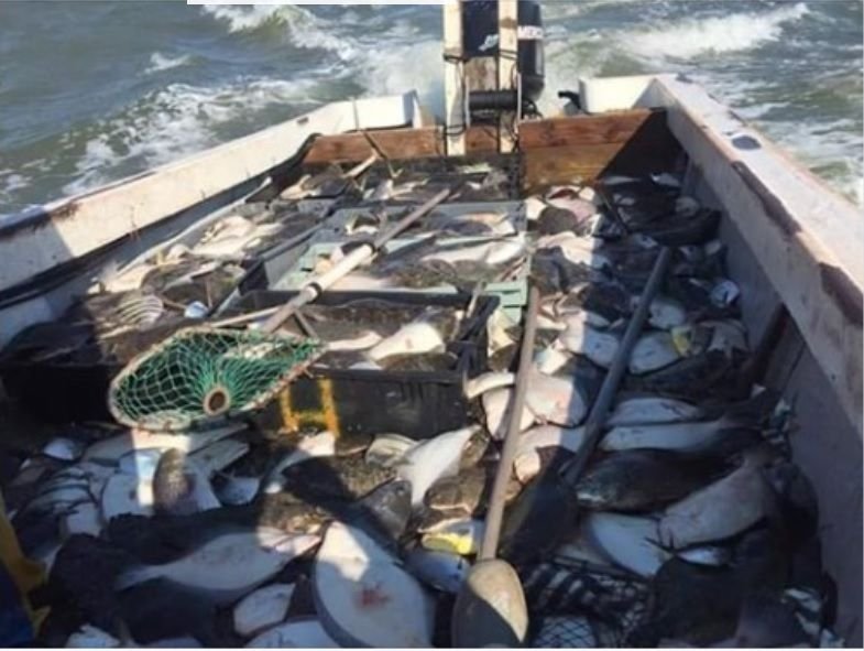 The Hull Truth - Boating and Fishing Forum - 2025 NC Recreational ...