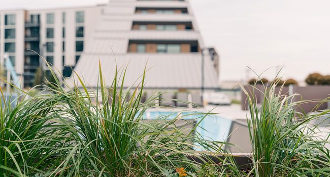 Triangle Square Reviews - Chicago, IL | 2155 N Elston | 3 Apartment Reviews